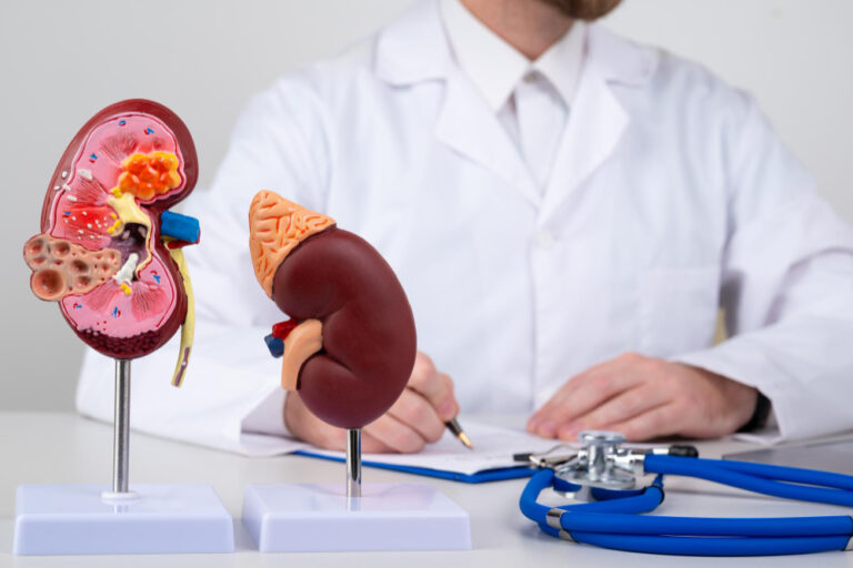 Acute Kidney Disease: Overview, Symptoms, Causes, Diagnosis, and ...